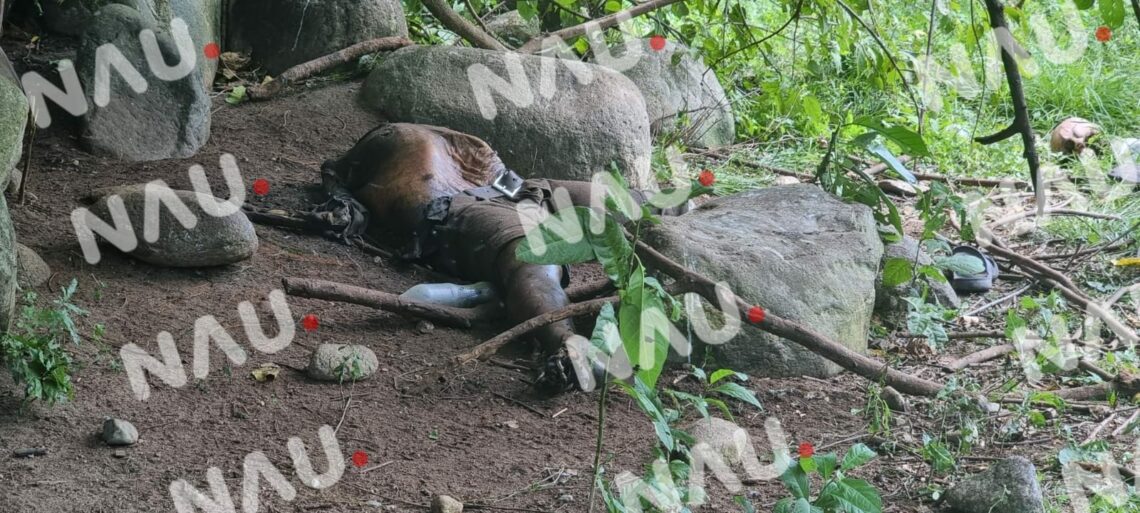 El cuerpo de una persona en avanzado estado de putrefacción fue ...