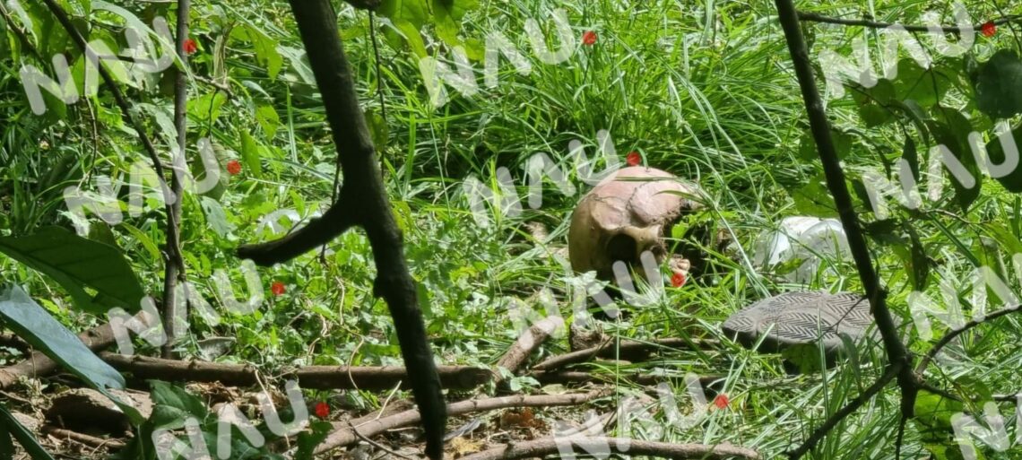 El cuerpo de una persona en avanzado estado de putrefacción fue localizado en Mapastepec - NAU ...